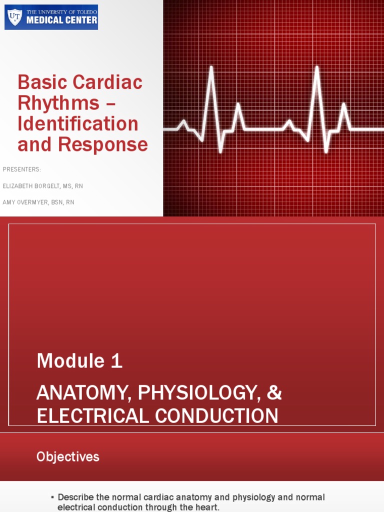 Basic Cardiac Rhythms - Identification and Response: Presenters ...