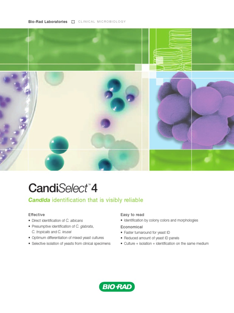 Candiselect 4: Candida Identification That Is Visibly Reliable | PDF ...