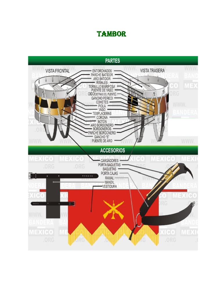 El Tambor y Sus Partes | PDF