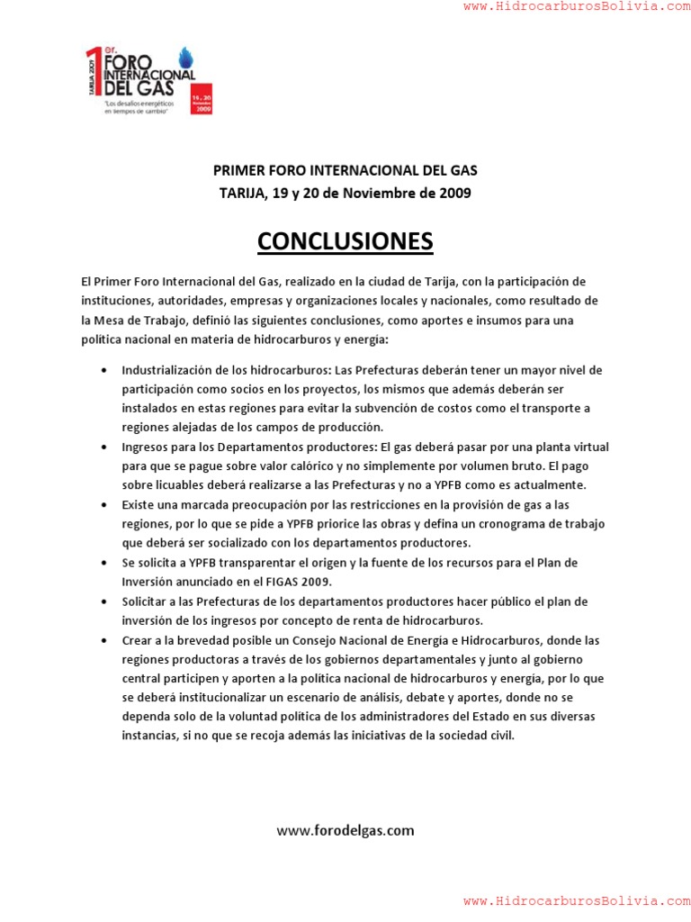 Conclusiones Finales Figas 2009 | PDF | Economias