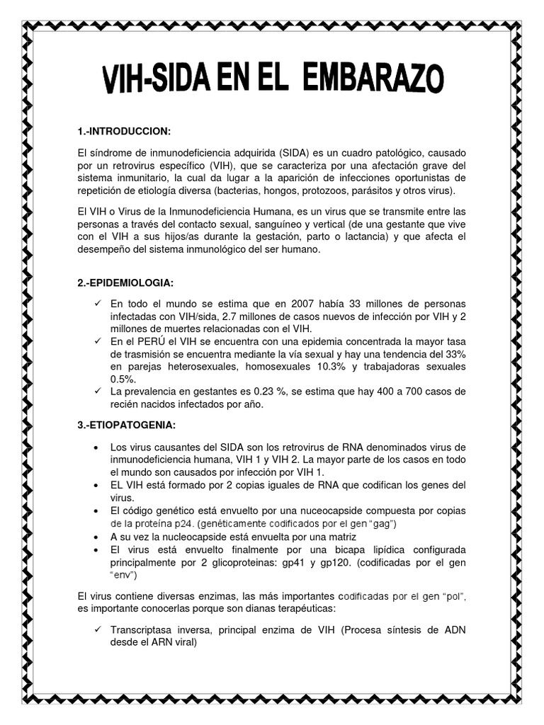 Informe Final - Vih-Sida en Embarazo | PDF | VIH / SIDA | Manejo del ...