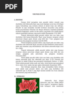 LP Demam Typhoid | PDF