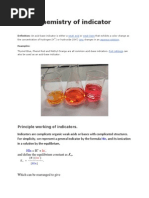 Ramapet S1: PT. Indorama Polypet Indonesia | PDF | Materials | Chemistry