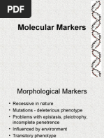 02 UPGMA Example | PDF | Phylogenetic Tree | Applied Mathematics