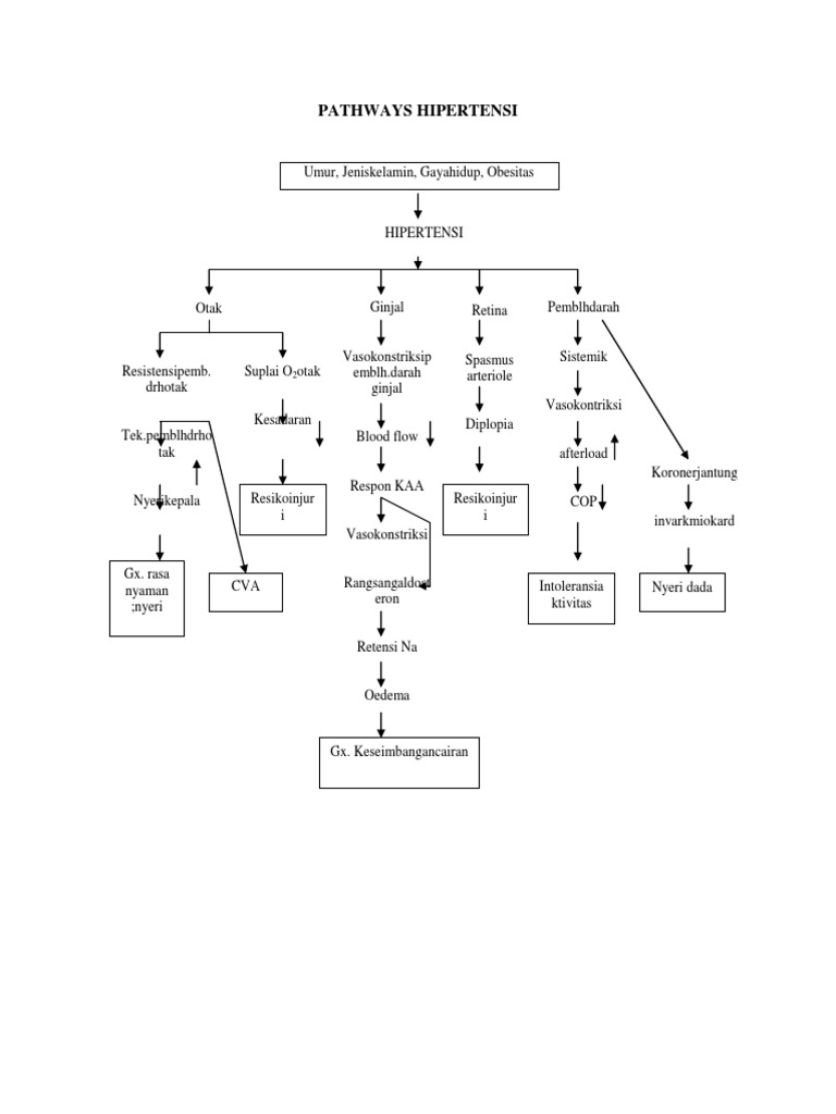 Pathways Hipertensi | PDF