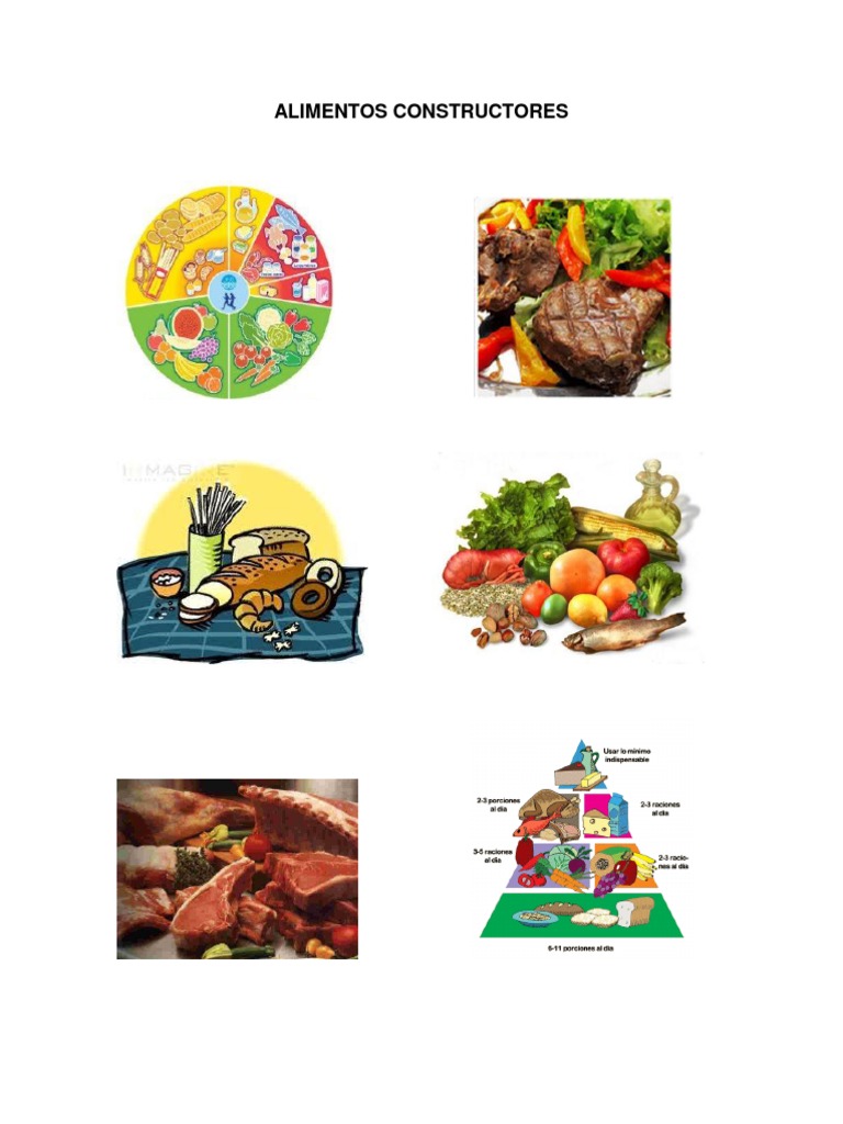 Alimentos Constructores | PDF | Salud y bienestar | Estilo de vida