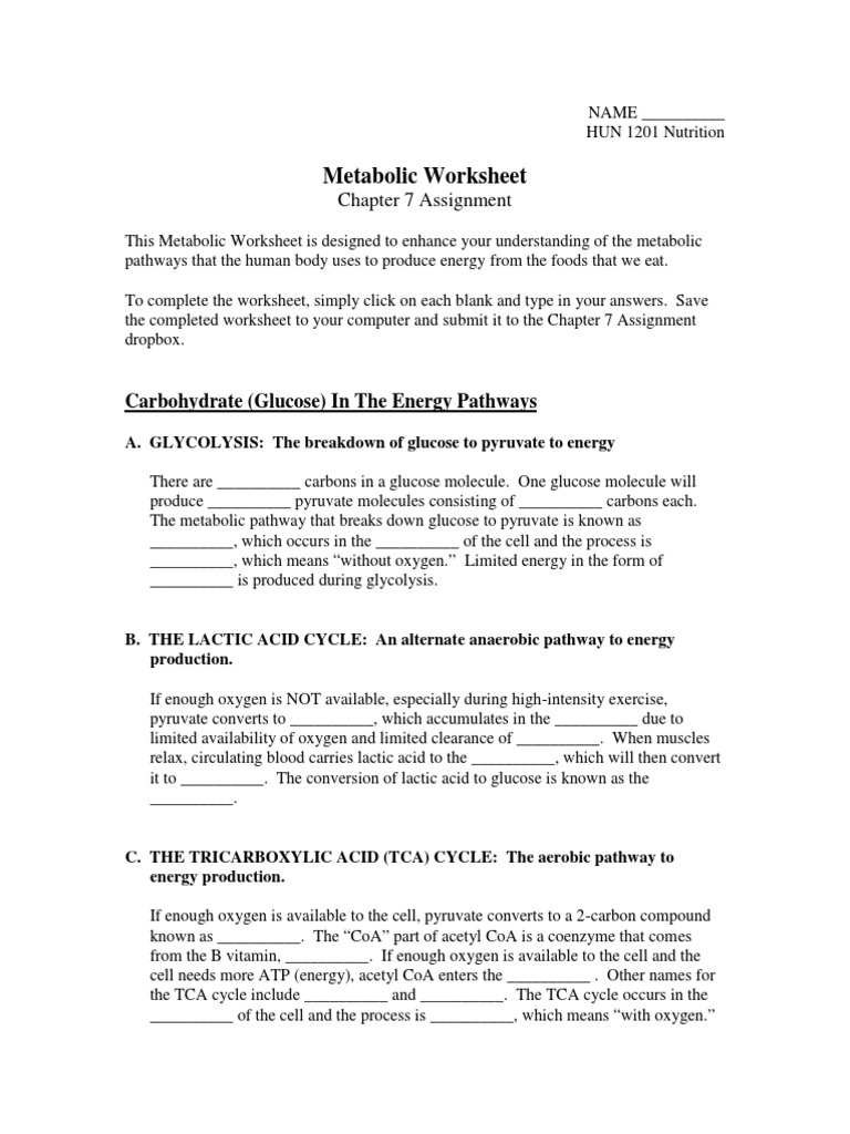 Metabolic Worksheet | PDF | Citric Acid Cycle | Diet & Nutrition