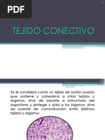 Mapa Conceptual Tejido Conectivo PDF | PDF | Tejido conectivo | Fisiología