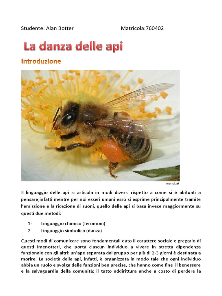 La Danza Delle API | PDF
