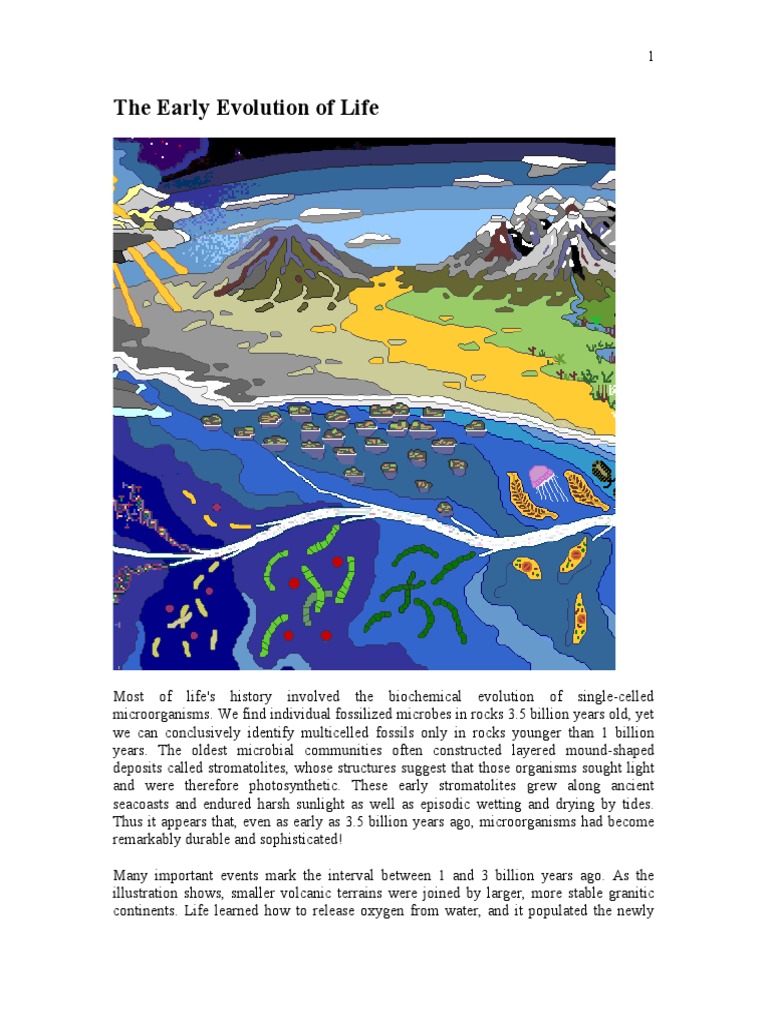 The Early Evolution of Life | PDF | Evolution | Organisms