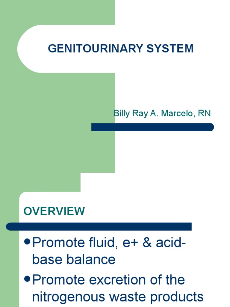 Genitourinary System | Urinary Tract Infection | Kidney