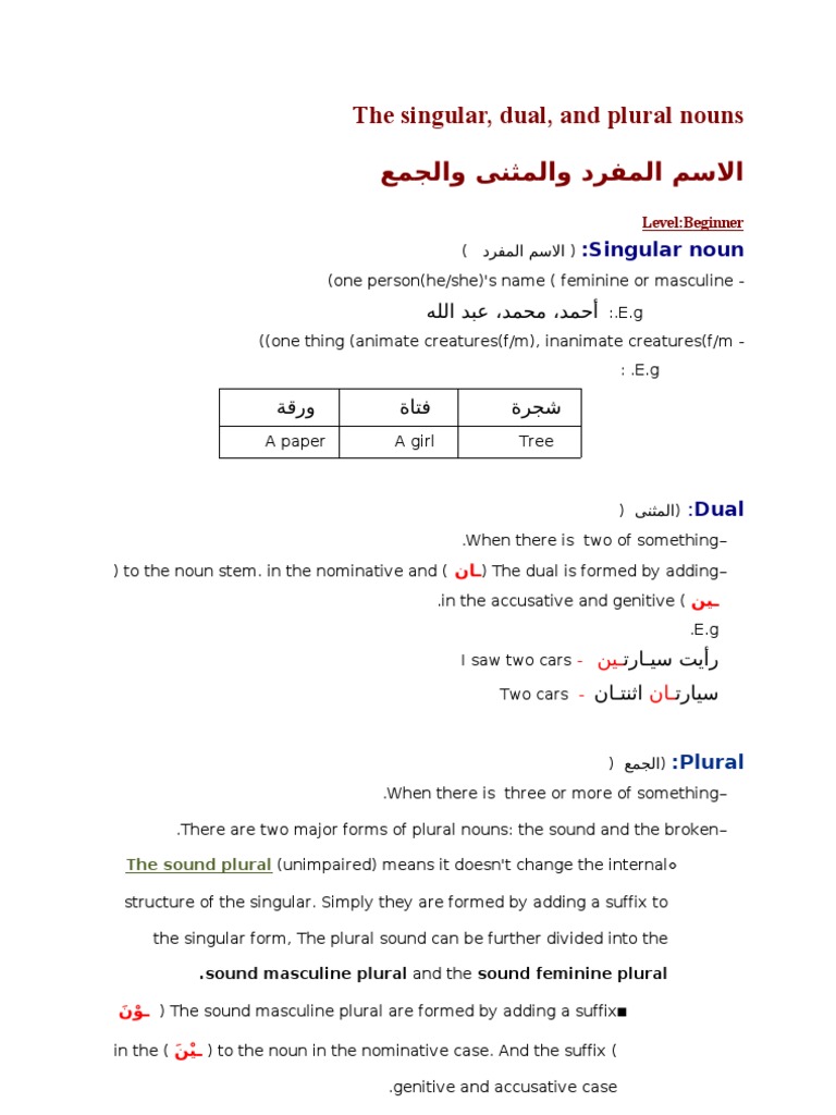 Arabic Nouns Plural | Plural | Grammatical Number