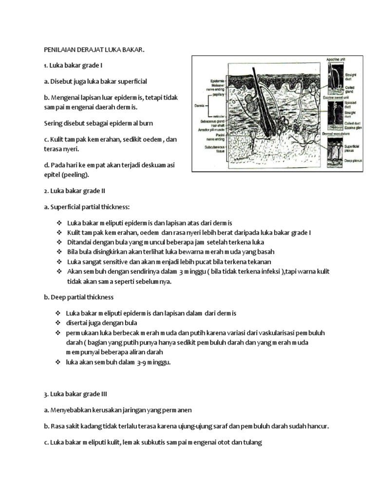 Penilaian Derajat Luka Bakar | PDF