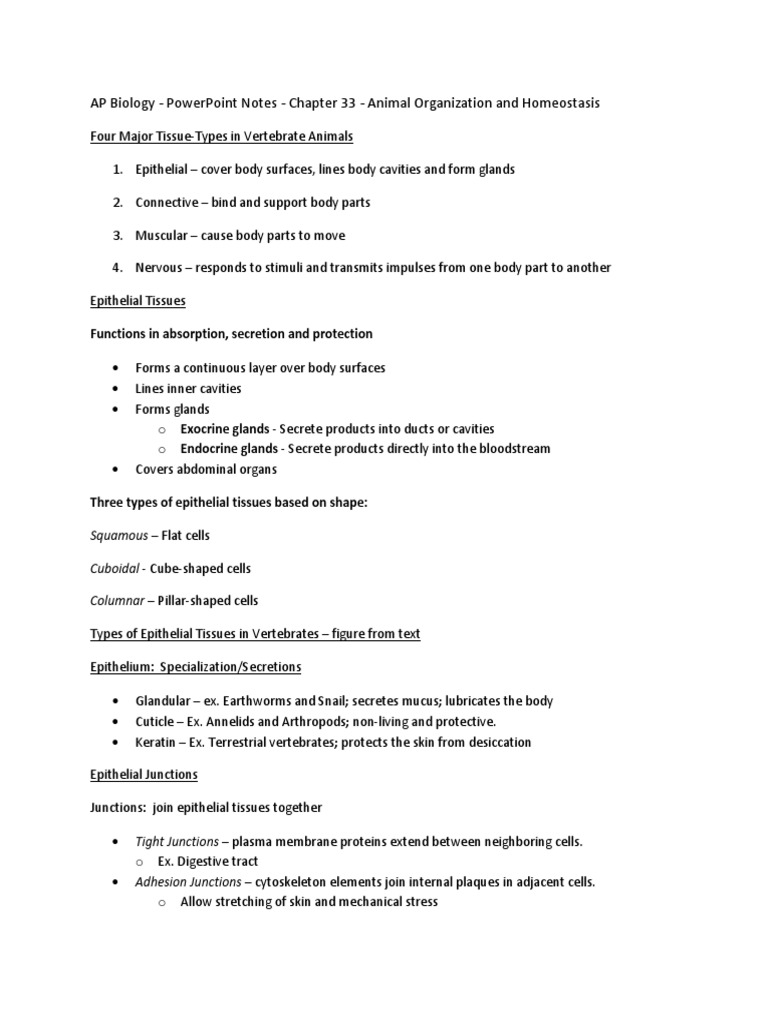 AP Biology - PowerPoint Notes - Chapter 33 - Animal Organization and ...