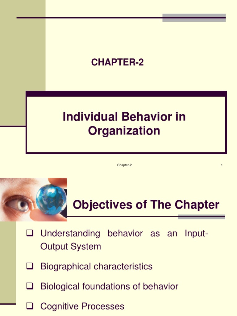 Chapter-3-Individual Behavior in Organizations | PDF | Neuron | Thought