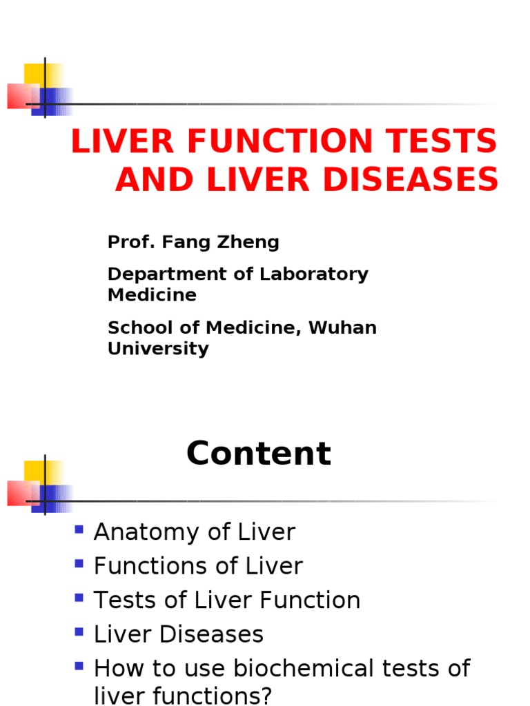 Liver Function | PDF | Hepatitis | Liver