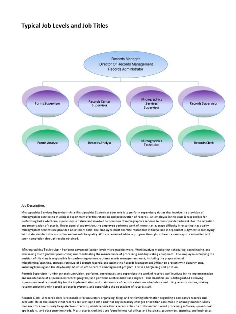 Typical Job Levels and Job Titles (Edit) With Their Duties | PDF ...