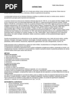 Safenectomia | PDF | Cirugía | Especialidades Medicas