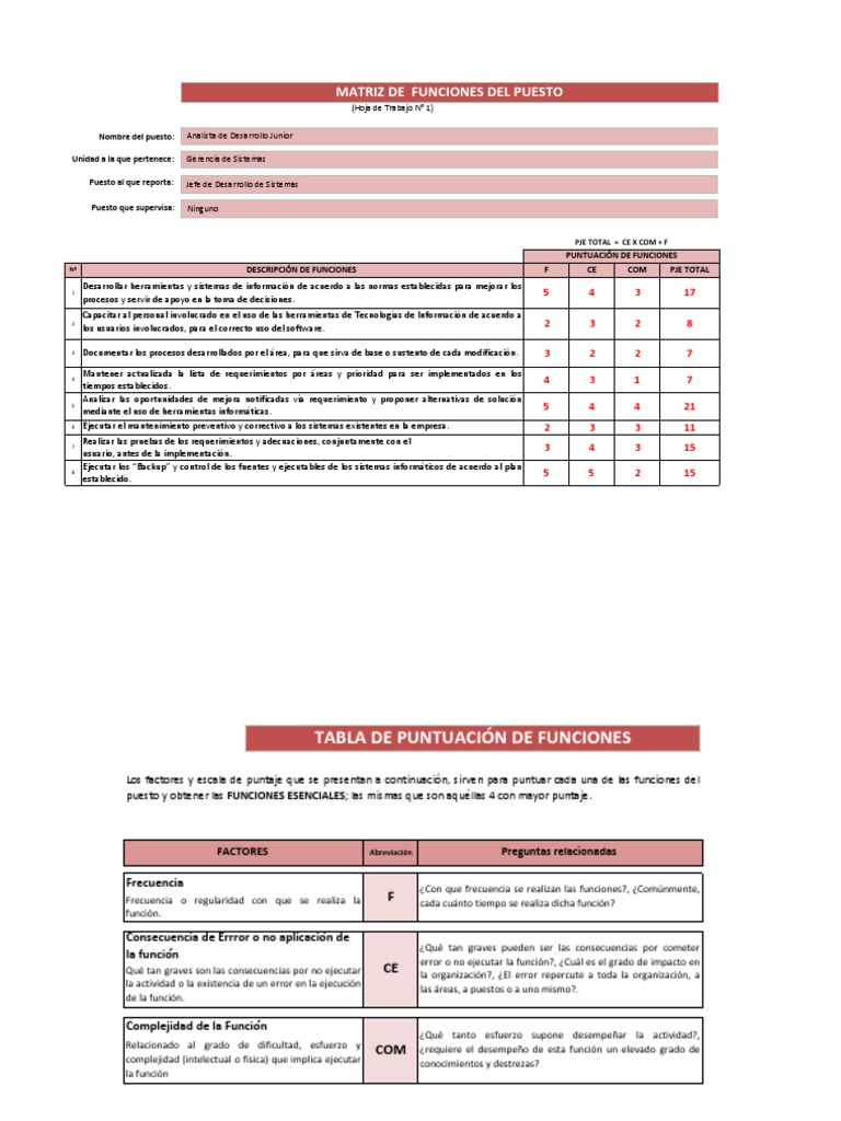 Ejercicio 4A - Formato 1-Matriz de Funciones Del Puesto | PDF | Complejidad | Software