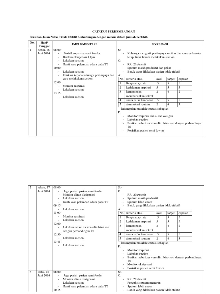 Catatan Perkembangan | PDF
