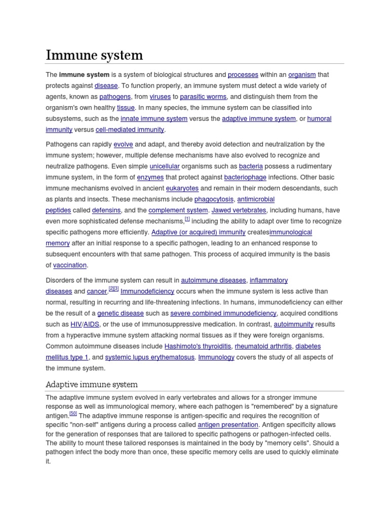 Immune System | PDF | Adaptive Immune System | Immune System