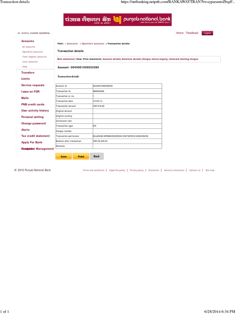 Transaction Details for PNB Account | PDF | Finance & Money Management