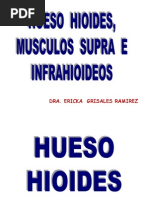 Ramillete de Riolano | PDF | Anatomía humana | Cabeza y cuello humanos