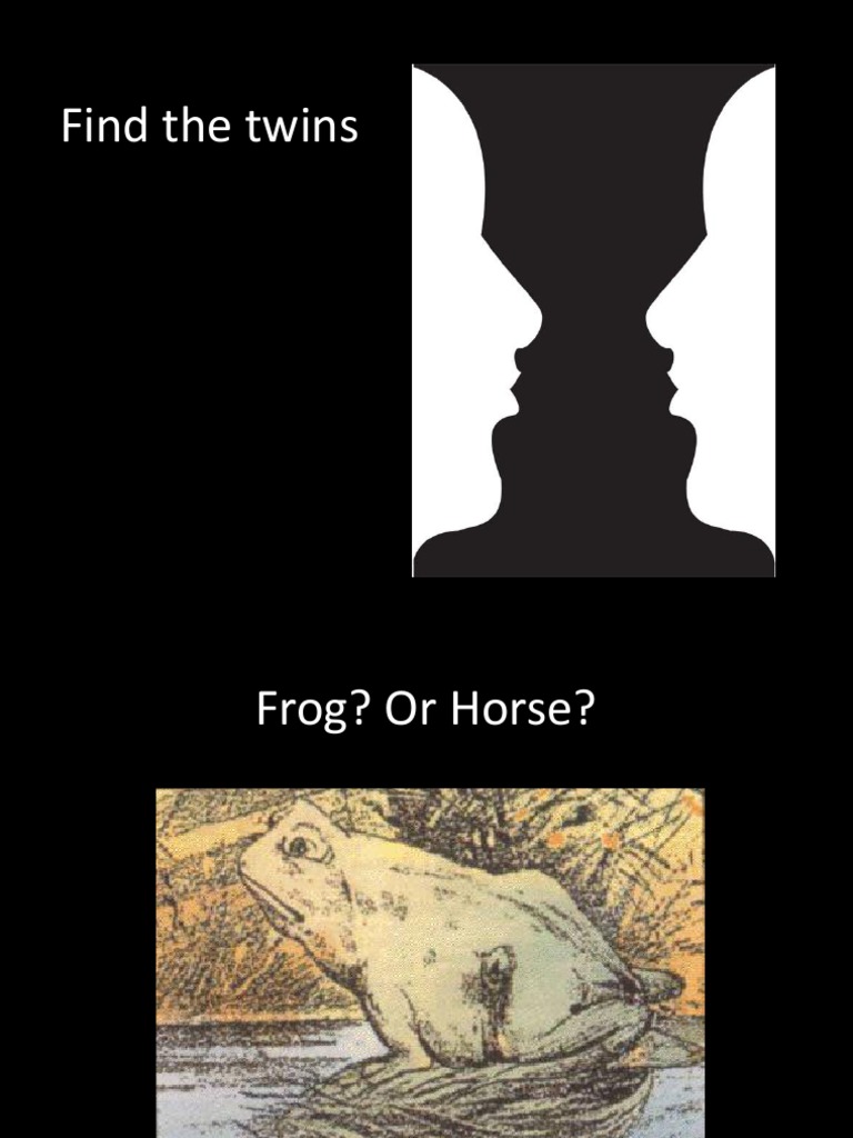 Hidden Faces in Optical Illusions | PDF | Language Arts & Discipline