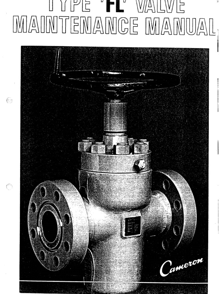 Cameron Model FL Gate Valves