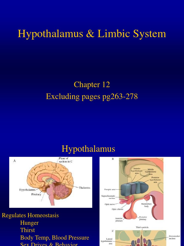 The Neuroanatomy and Physiology of Emotion: Exploring the Role of the ...