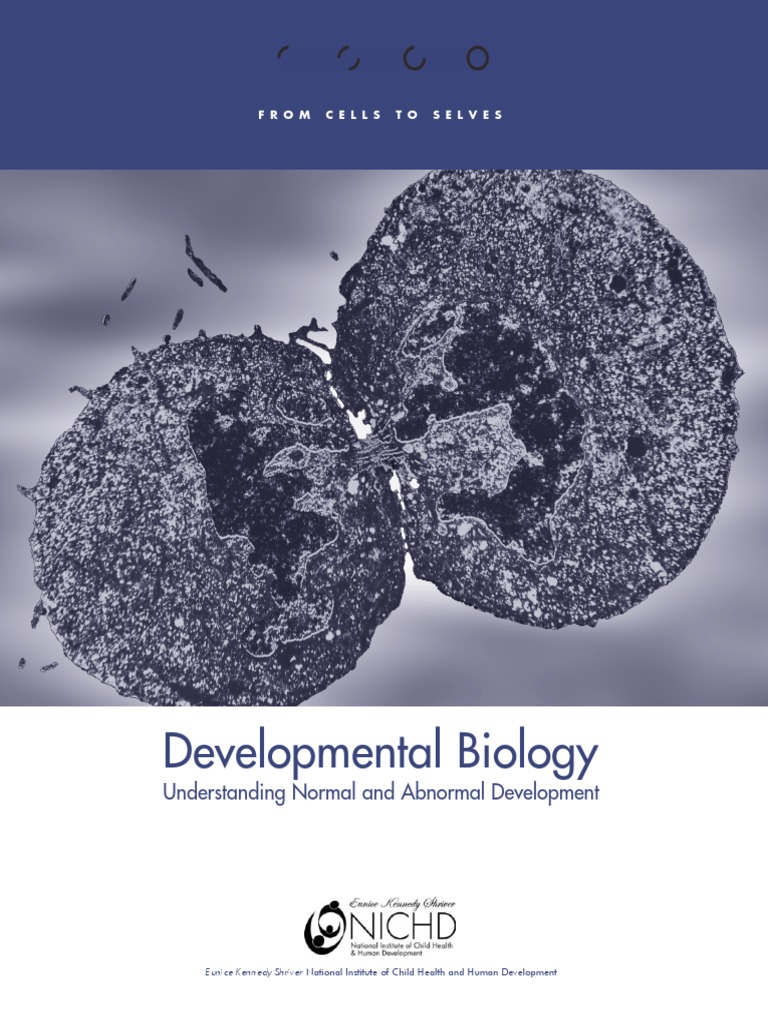 Developmental Biology: Understanding Normal and Abnormal Development ...