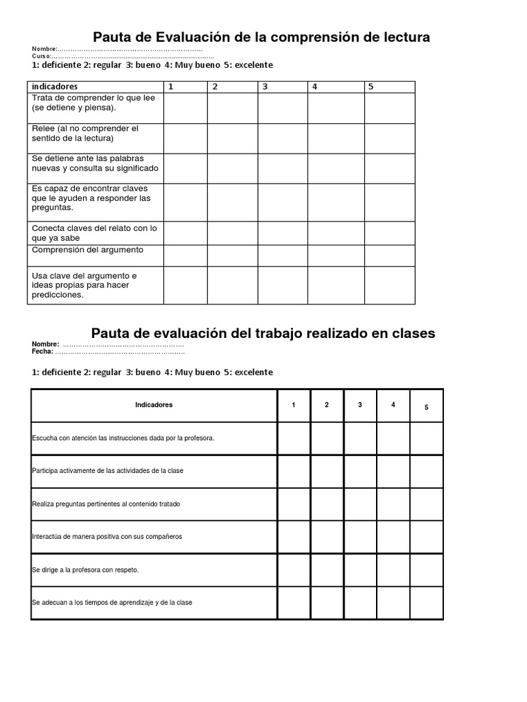 Pauta de Evaluación de La Comprensión de Lectura | PDF