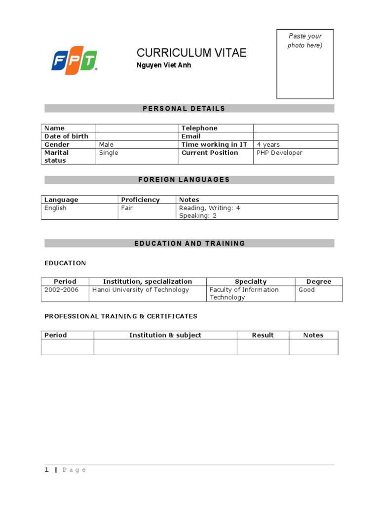 CV Template | PDF | Computer Programming | Computing And Information ...