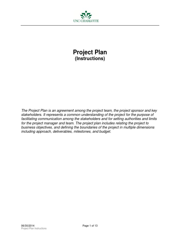 Project Plan: (Instructions) | PDF | Business Process | Project Management
