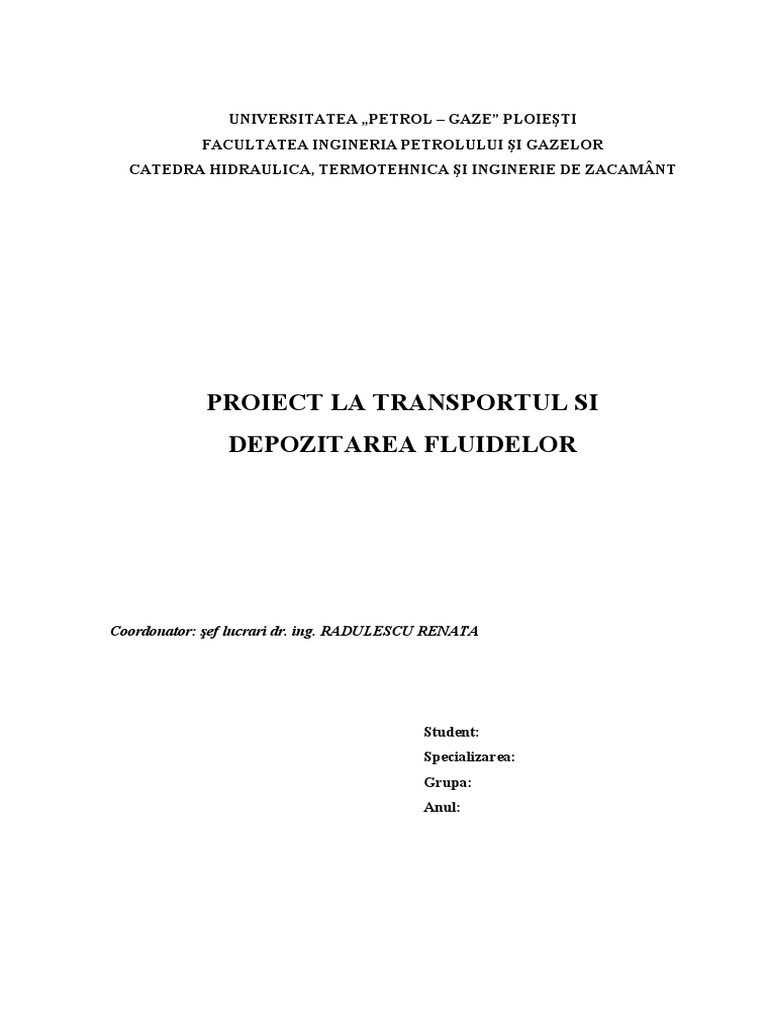 Exemplu Proiect 13 Transport Si Depozitare Hidrocarburi | PDF