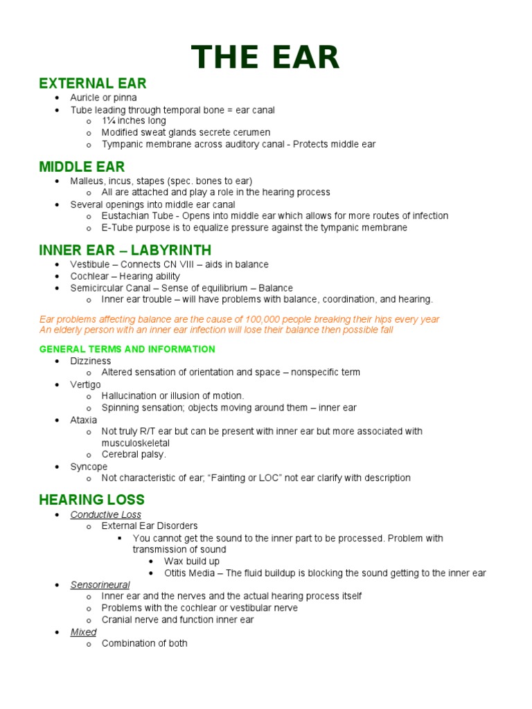 Understanding Ear Anatomy and Disorders | PDF | Ear | Vertigo