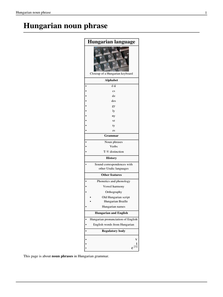 Hungarian Noun Phrase | Download Free PDF | Grammatical Number ...