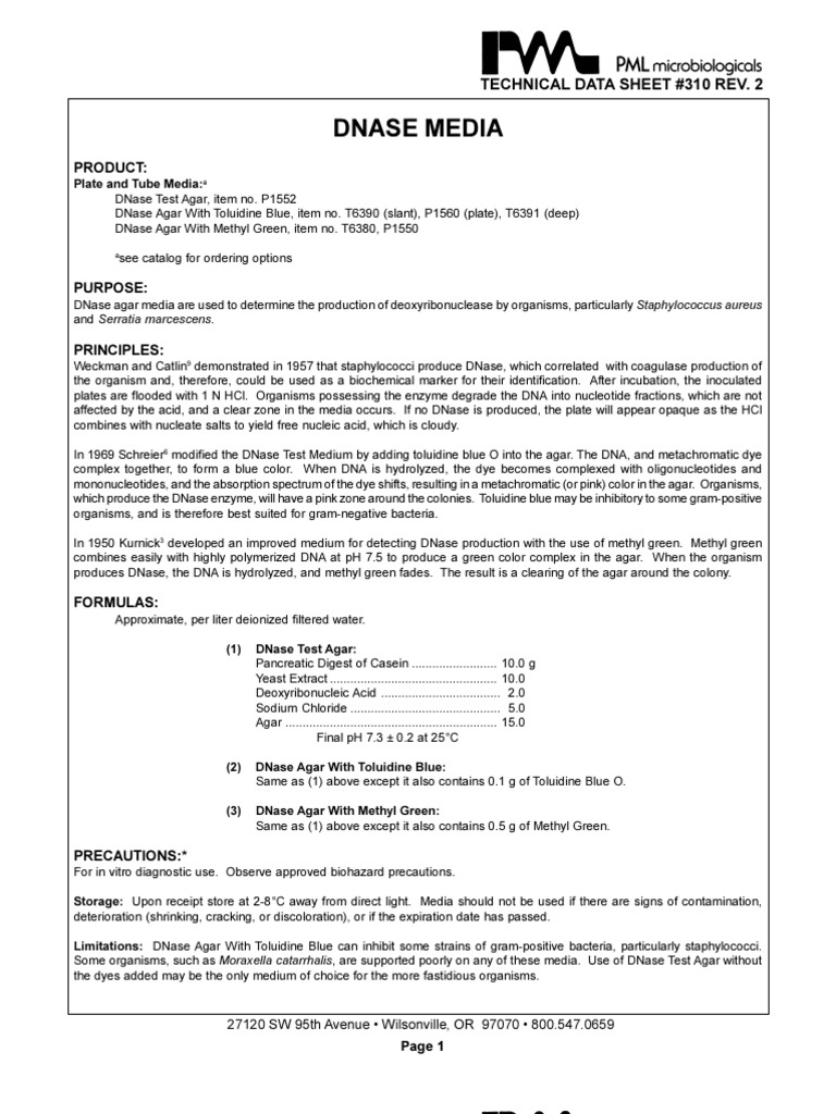 Dnase Media | PDF | Microbiology | Biology