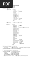 Manual Oracle SQL Developer | PDF | SQL | Oracle Corporation