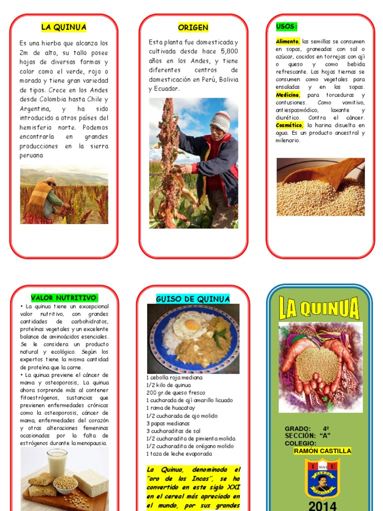 Triptico Quinua Alisson | PDF