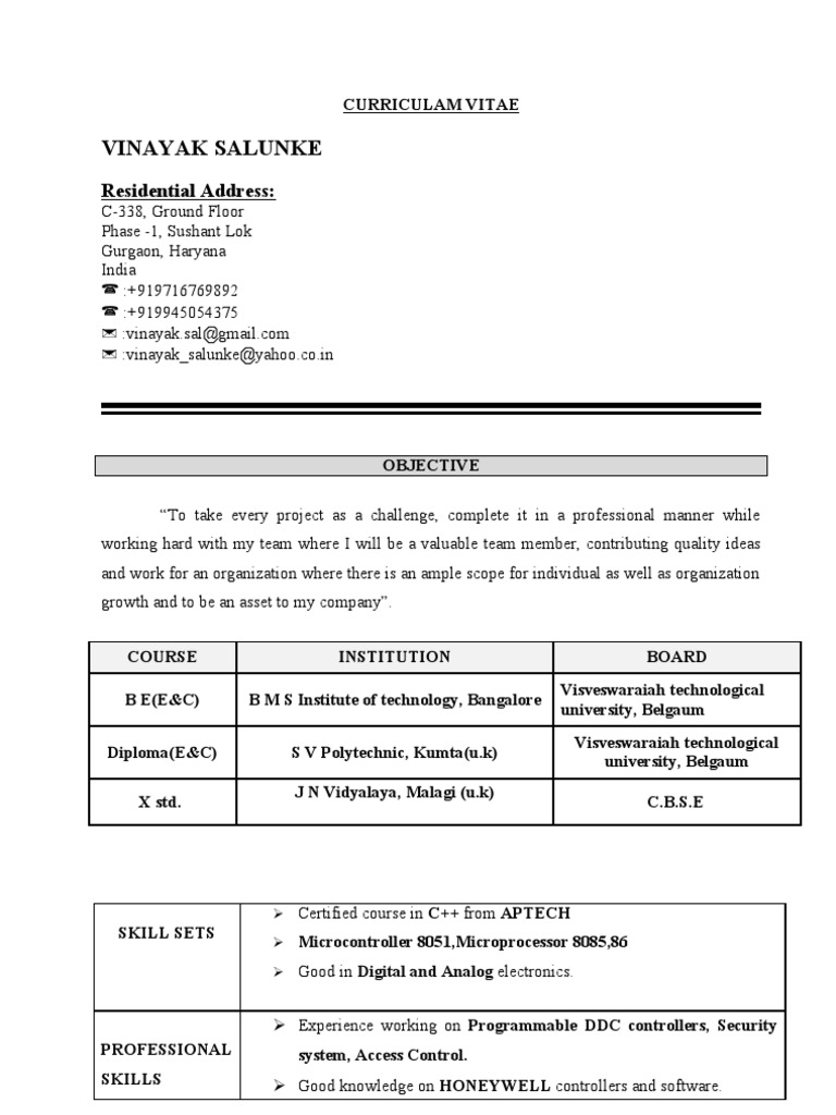 Vinayak Resume | PDF