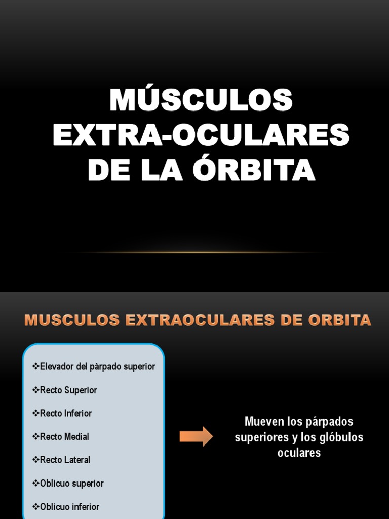 Musculos Extraoculares | Descargar gratis PDF | Ojo humano | Anatomía ...