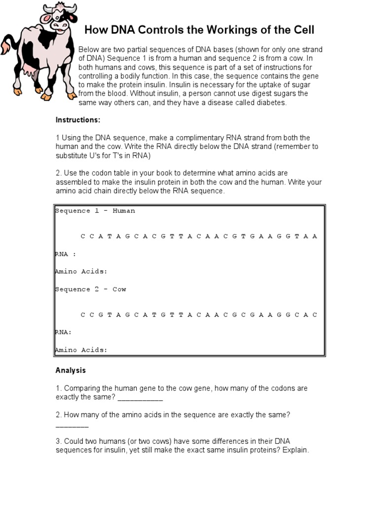 How Dna Controls The Workings of The Cell | Nucleic Acid Sequence ...