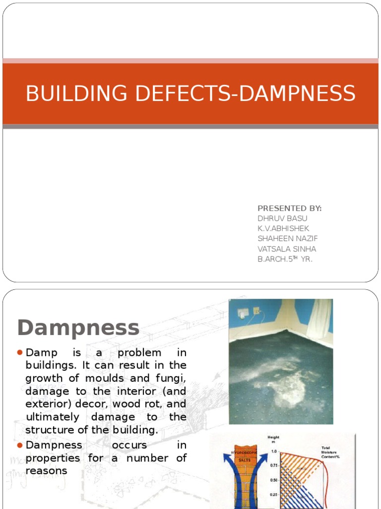 Building Dampness Solutions | PDF | Civil Engineering | Building ...