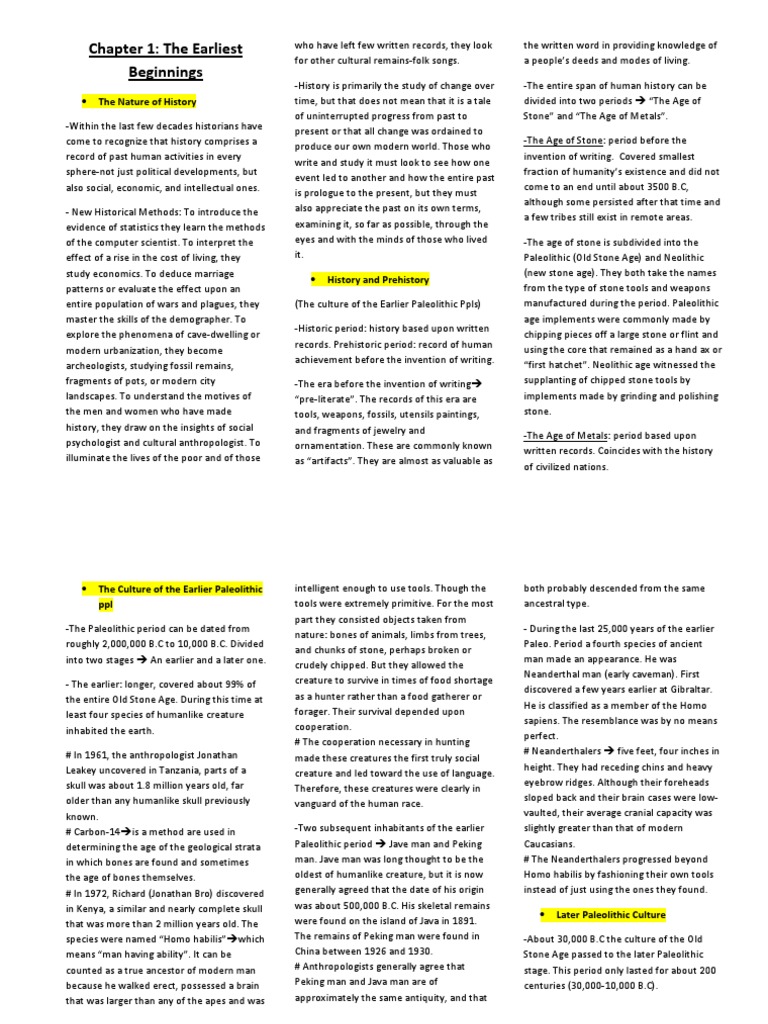 Chapter 1: The Earliest Beginnings: The Nature of History | PDF | Stone ...