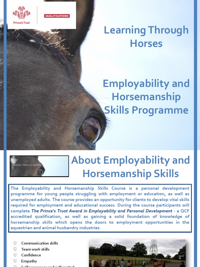 Learning Through Horses Employability and Horsemanship Skills Programme ...