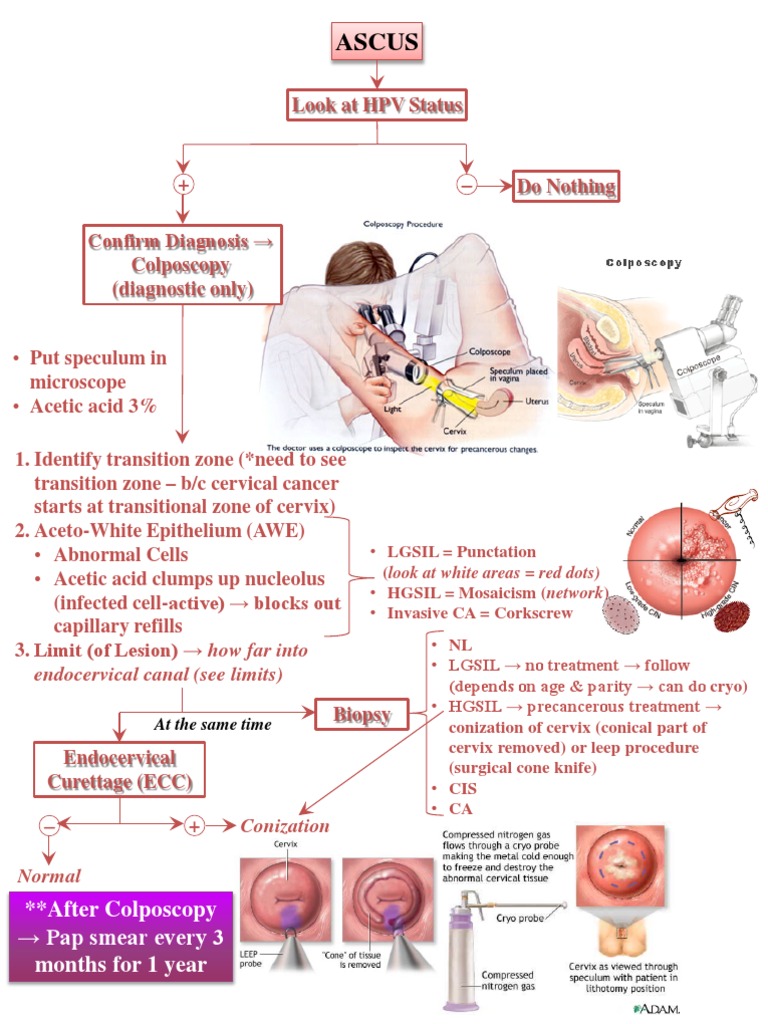 Ascus: After Colposcopy Pap Smear Every 3 Months For 1 Year | PDF ...