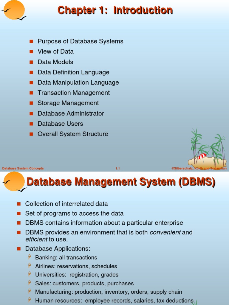 Chapter 1: Introduction: ©silberschatz, Korth and Sudarshan 1.1 Database System Concepts ...