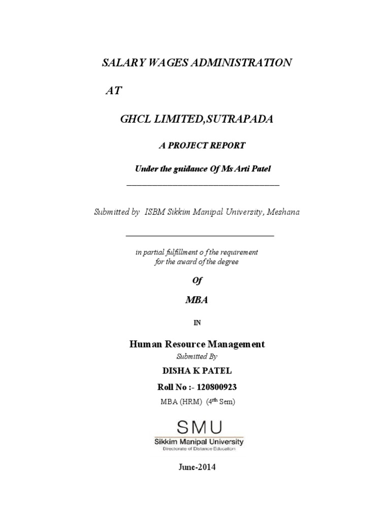 Project Rep Template For SMU | PDF | Business