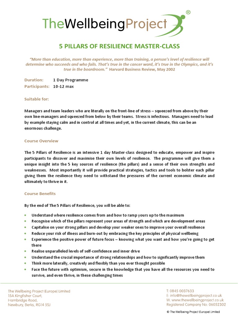 5 Pillars of Resilience | PDF